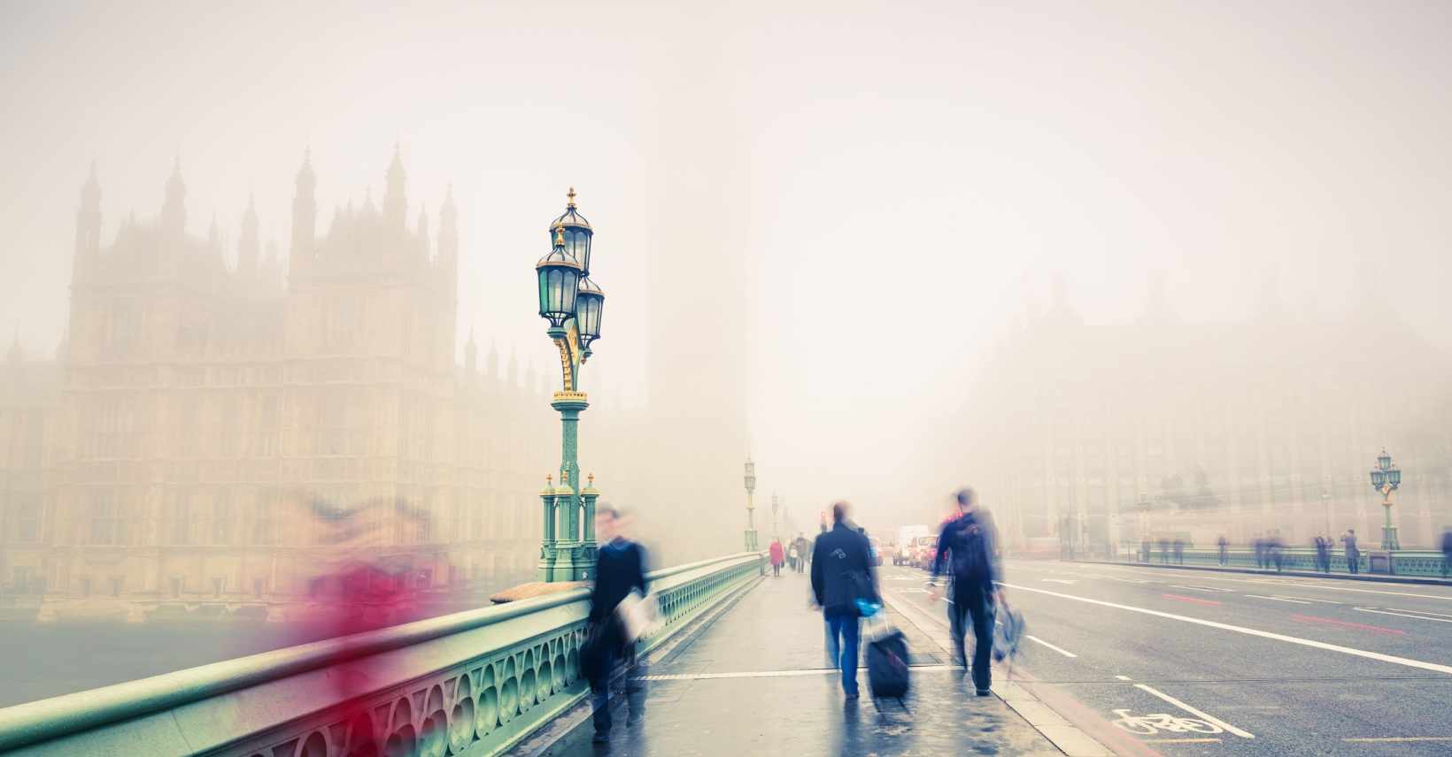 Can orthodontists reliably identify incidental findings on panoramic ...